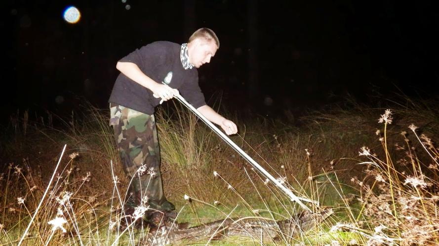 Removing Invasive Caimans from the Florida Everglades | News ...