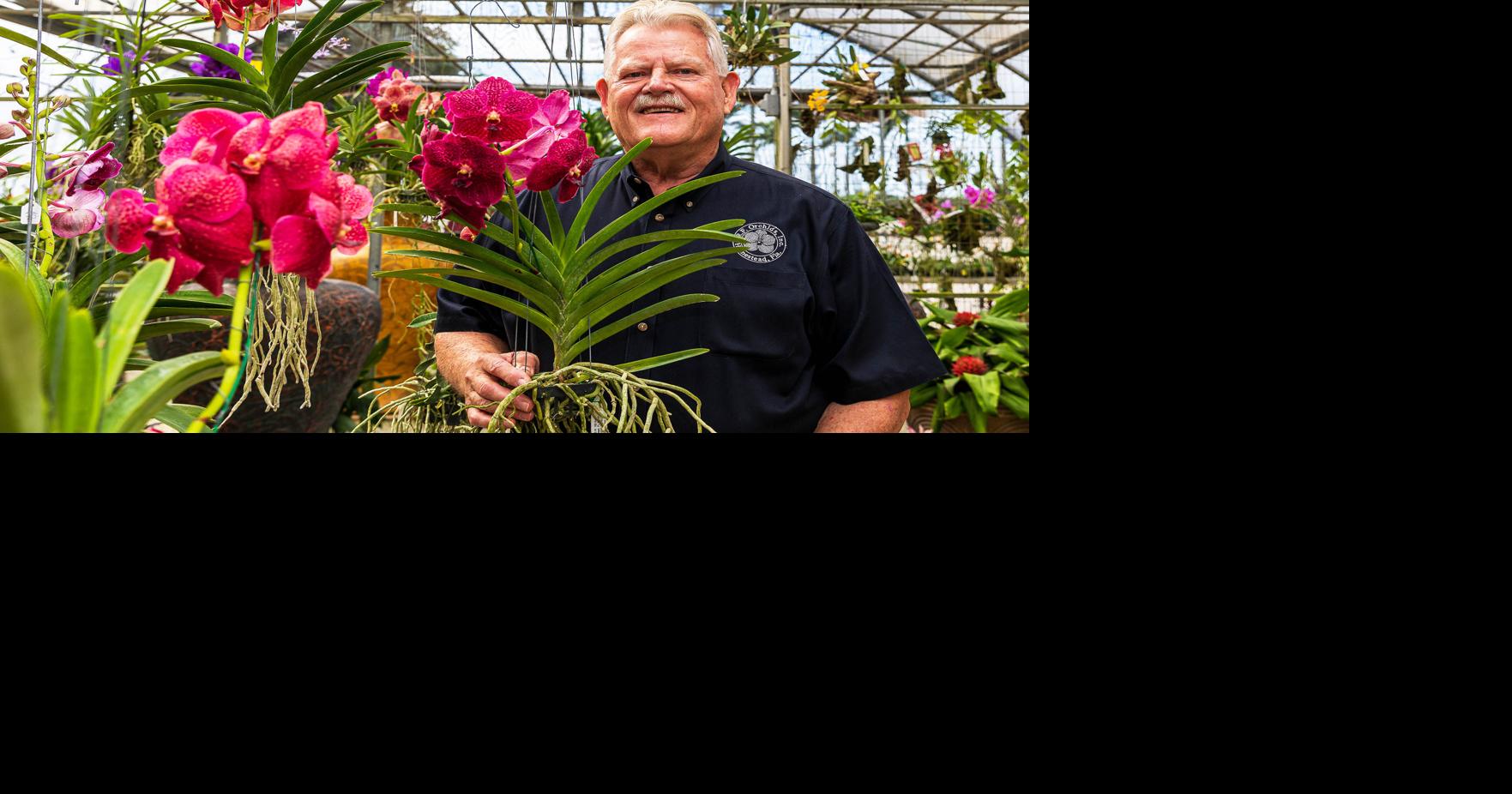 RF Orchids Turns Fifty | News | southdadenewsleader.com