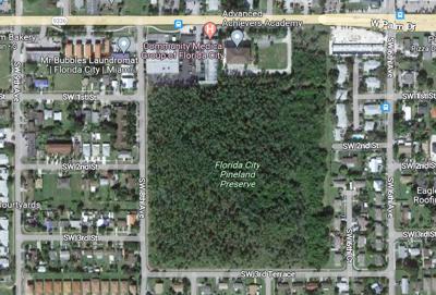 Program needs volunteers to help restore environmentally sensitive ...