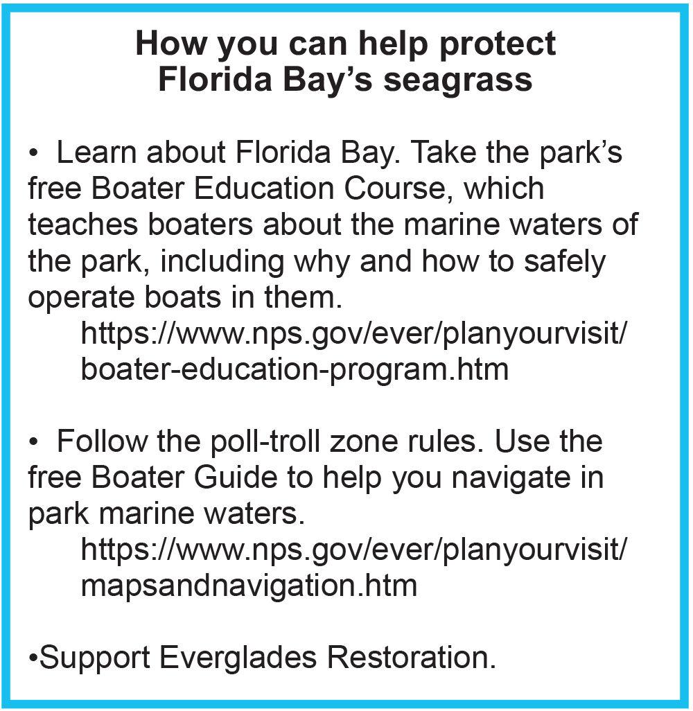 Historic Water Levels in the Everglades Help Fix Florida Bay Salinity ...
