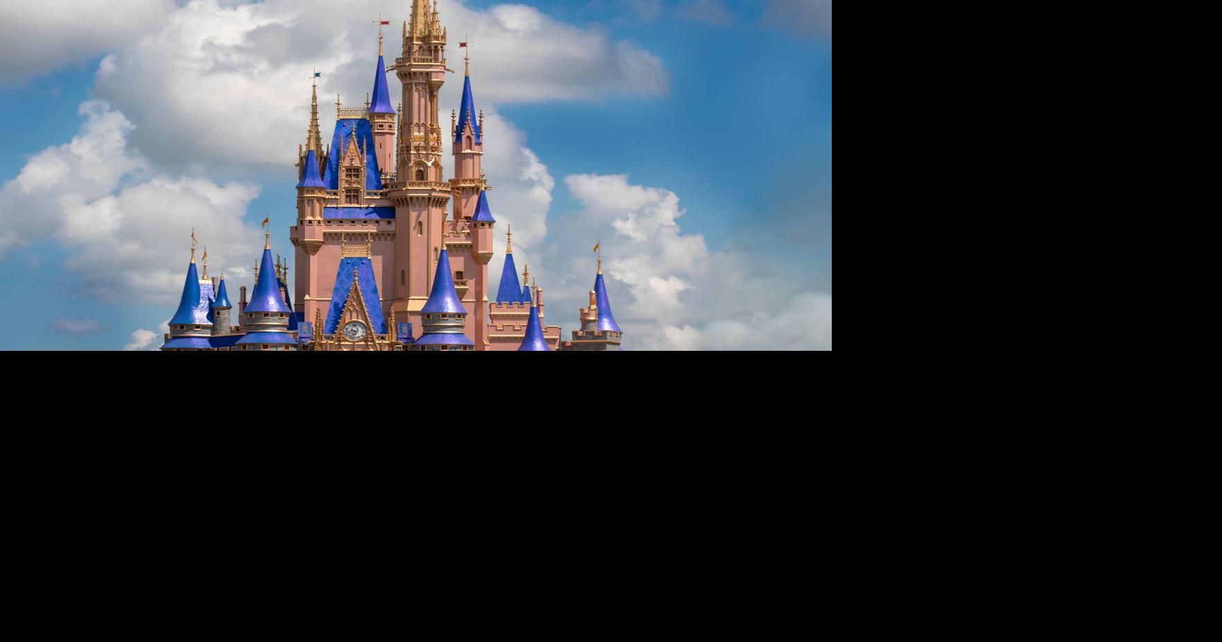 Report Alleges Disney-Controlled Government was 'Private Corporate ...