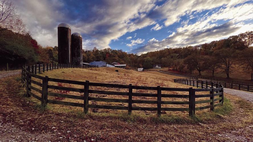 Around Williamson County: Archer Meats | Current Issue ...