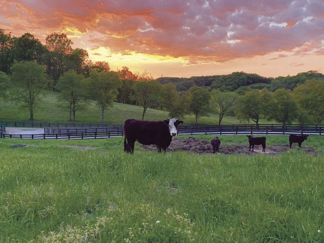 Around Williamson County: Archer Meats | Current Issue ...