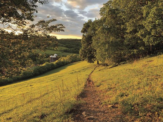 Around Williamson County: Archer Meats | Current Issue ...