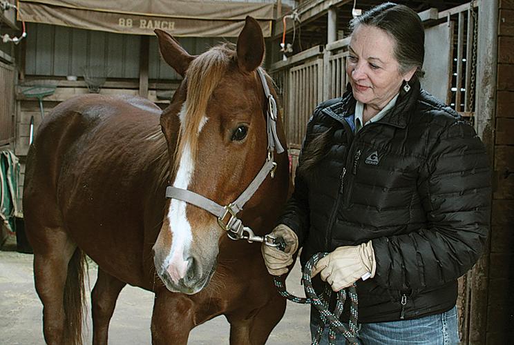 The Profile: Franklin Rodeo - Pat Dunn | Current Issue ...