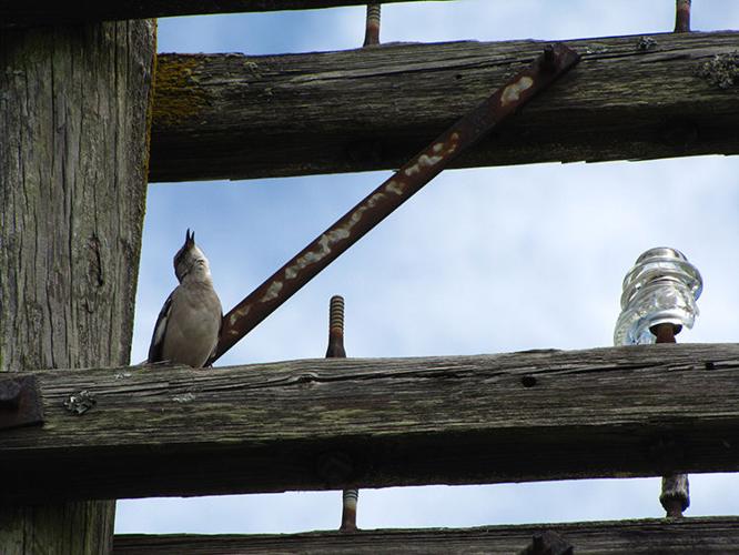 Keith Sheldon: A Collector of Collections | Past Issues ...