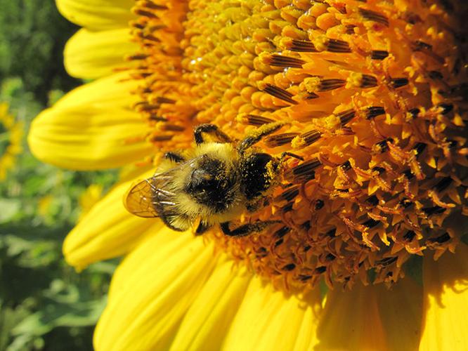 Keith Sheldon: A Collector of Collections | Past Issues ...