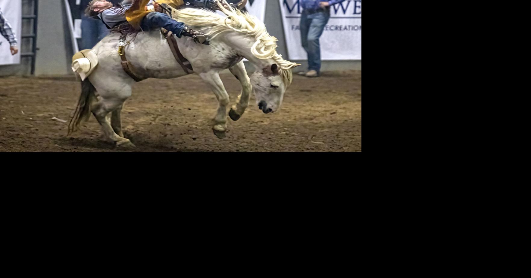 In the Loop: Franklin Rodeo presented by the Franklin Rotary Club at ...