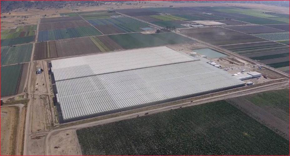 Revol Greens plans to build world's largest lettuce greenhouse | News ...