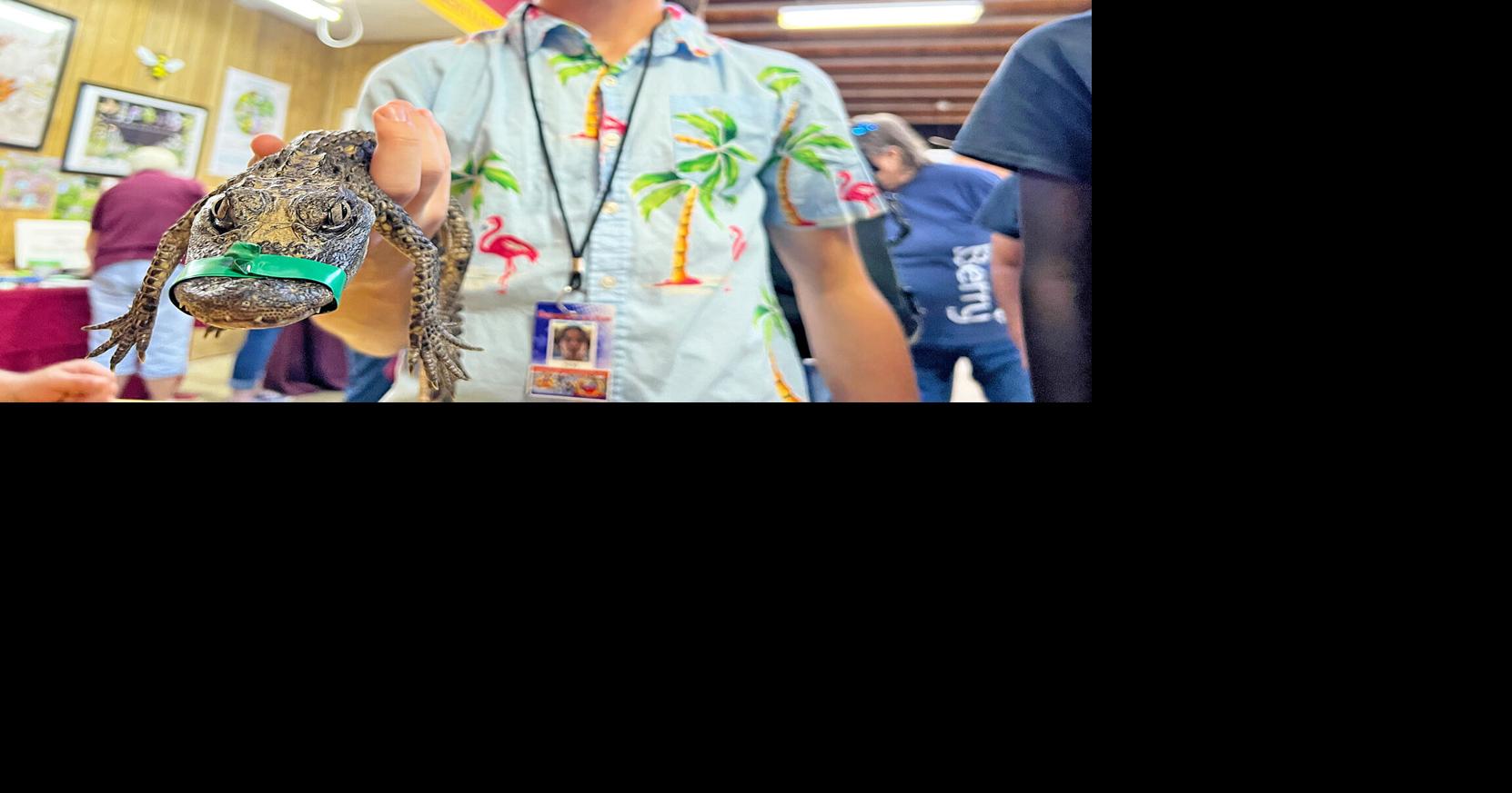 Birds of prey, exotic animals educate fairgoers inside the GOC | News ...