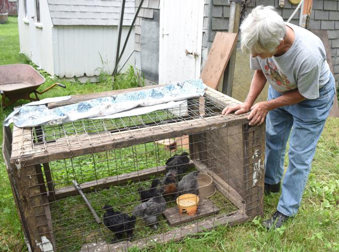 CENTURY FARMS: Cordes preserves lifelong home, old traditions on ...