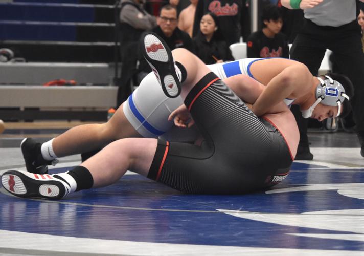 19 area wrestlers set to compete at state | Sports | southernminn.com