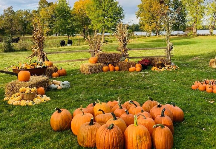 SCENE SEPTEMBER (THE FALL ISSUE) - Fall fun at Southern Minnesota farms ...