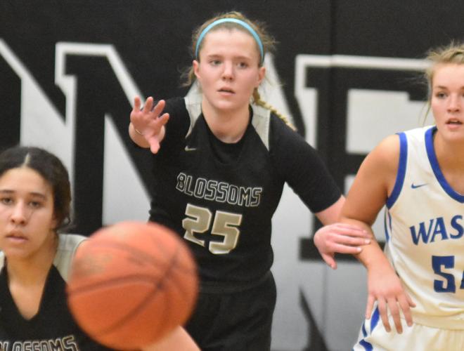 NRHEG's Schultz highlights OPP All-Area girls basketball as OPP All ...