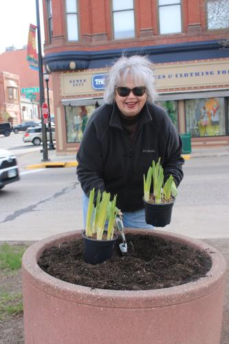 Spring flower planting in Bridge Square signals seasonal transition ...