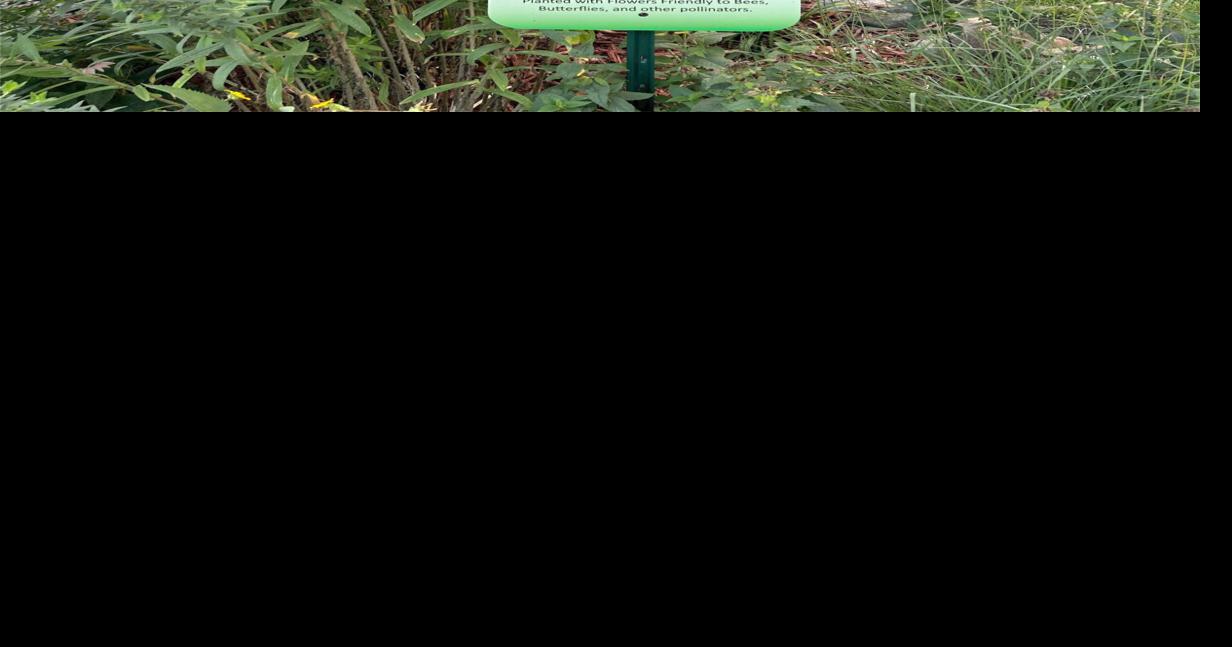 pic4.jpg | | southernminn.com