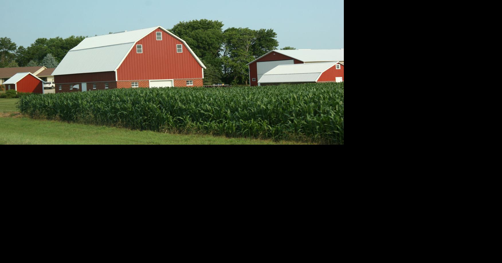 Looking for farm work & remembering my work on the farm | Community ...