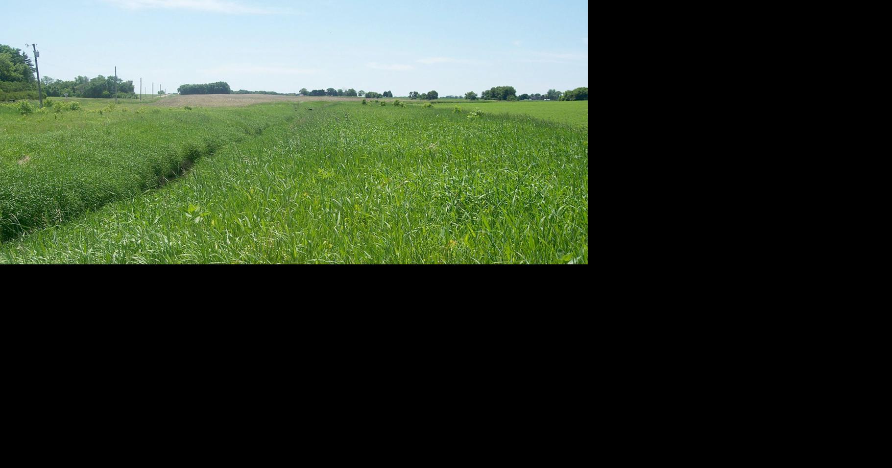 Minnesota Department of Natural Resources releases buffer map | Local ...