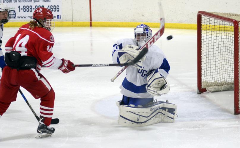 Bulldogs boys hockey upsets Luverne 3-2 | Sports | southernminn.com