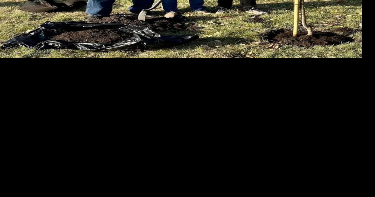 Missing Dundas resident remembered with memorial tree | News ...