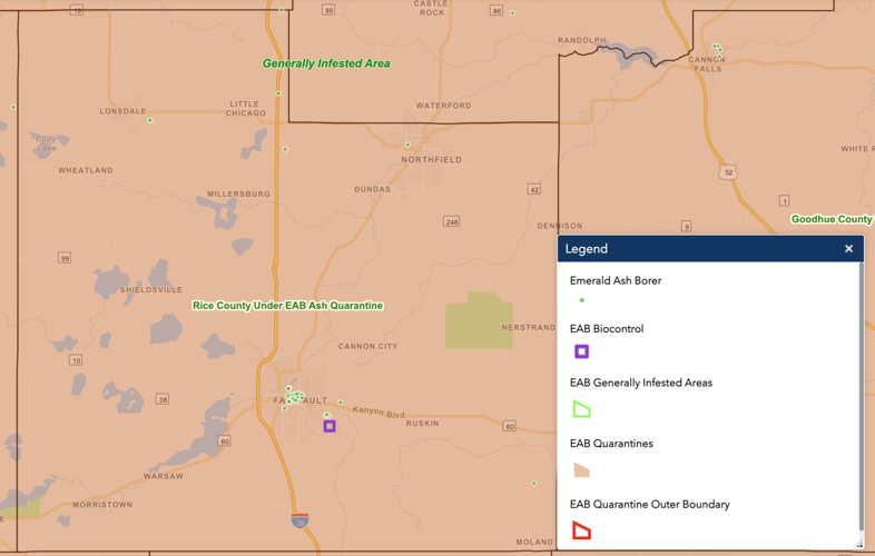 Park staff battles invasive bug as they await winter weather | News ...