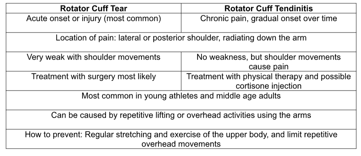 Shoulder pain: rotator cuff tear vs rotator cuff tendinitis | Opinion ...
