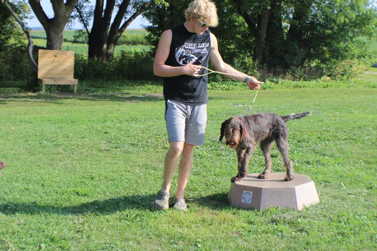 Puppy Love: Couple gets canines into hunting shape at Wild Acre Kennels ...