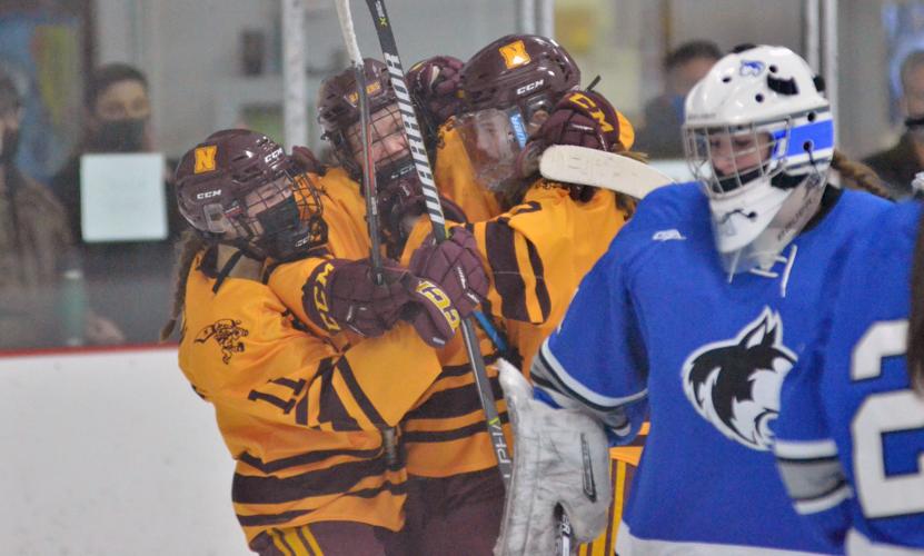 Puppe's power play goal, penalty kill lifts Northfield girls hockey ...