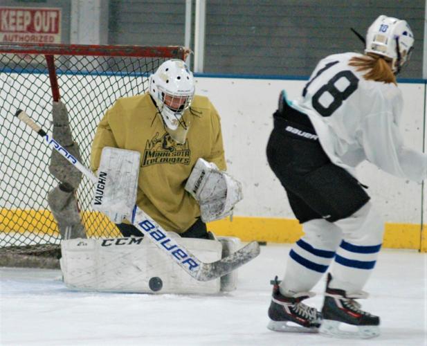 GALLERY: Girls hockey hits the ice | Sports | southernminn.com