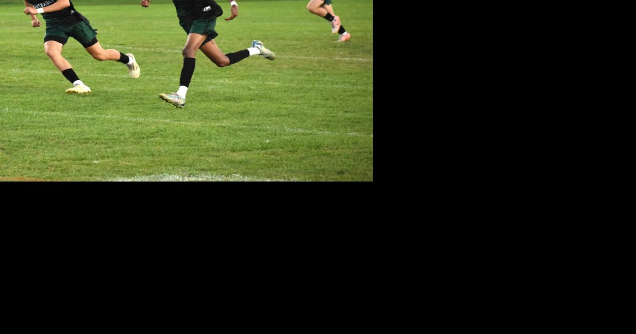 Falcons can't claw back, fall 3-1 to Mankato East | Sports ...