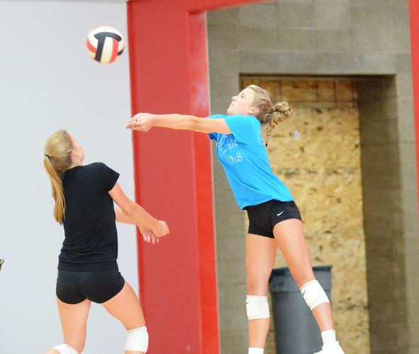 Fall season preview: Section 1A volleyball | Sports | southernminn.com