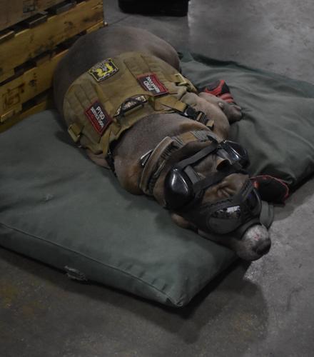 Sen. Klobuchar visits Winegar in Waseca to discuss workforce solution ...