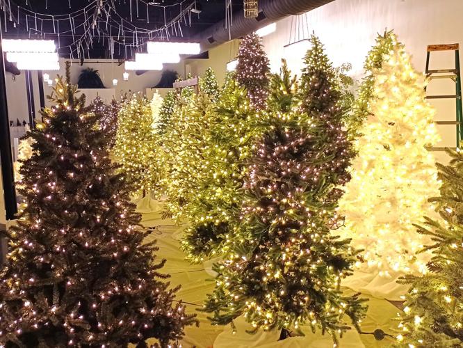 Starfire in Waseca to bring back Winter Wonderland for 3rd year | News ...