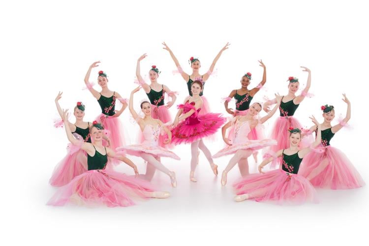 Ashley Ballet Arts Academy to open satellite location in St. Peter ...