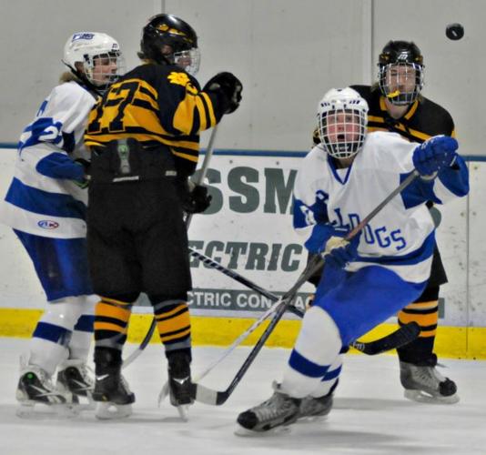 Bulldogs finish off Cougars 5-2 in playoffs | Sports | southernminn.com