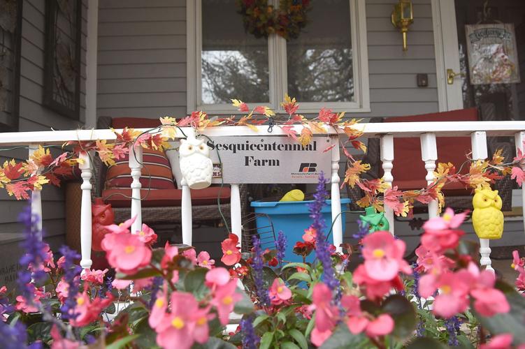 Cheryl Sutter's life as on the farm has come full circle | News ...