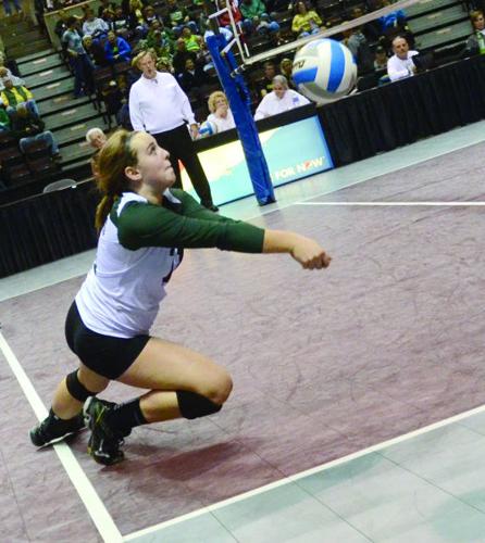 Faribault volleyball’s state bid falls just short in loss to Rochester ...