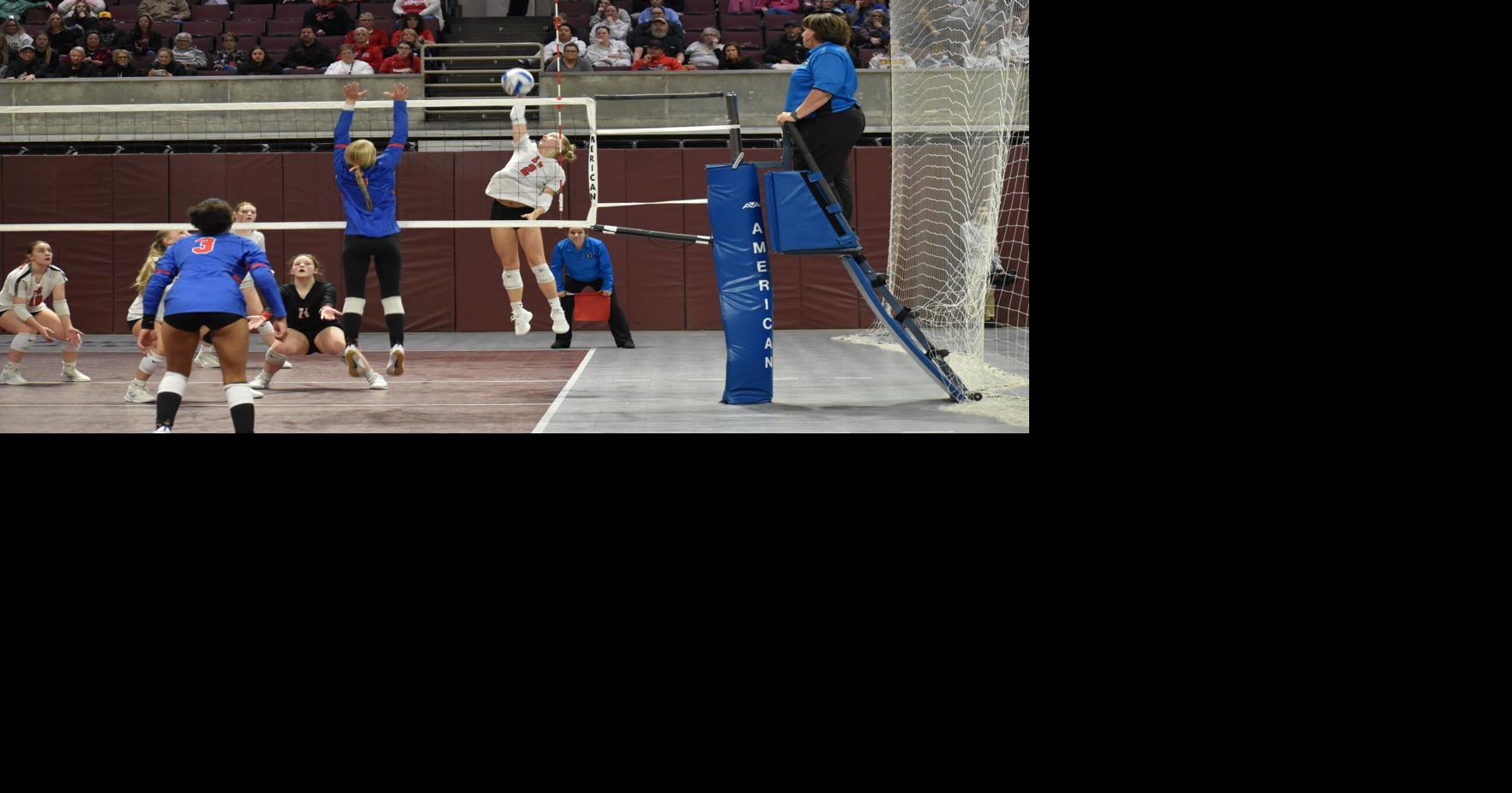 The Kenyon Leader's All-Area Volleyball Team: Honoring 10 of the region ...