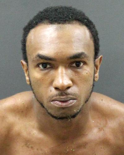 COURT REPORT: Dogs, helicopters called after suspect flees state ...