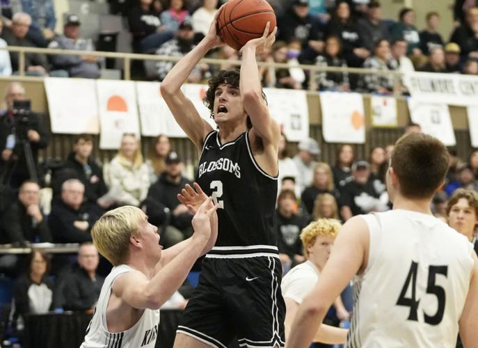 Awesome Blossoms hold off Kingsland for Section 1A championship ...
