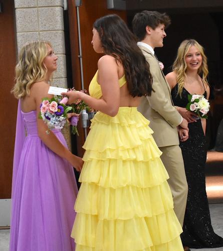 PHOTOS: Faribault High School prom grand march | News | southernminn.com