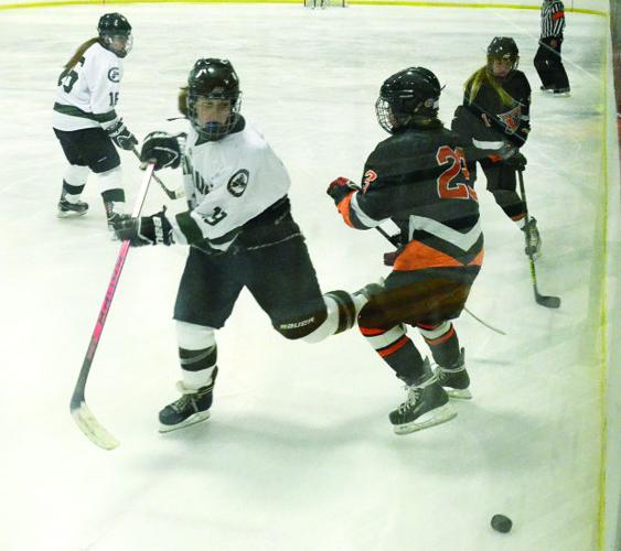 Winona's Moran scores five second-period goals to lead Winhawks past ...