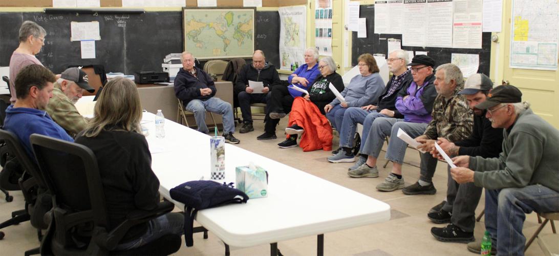 Township annual meetings give power to the people | News | southernminn.com