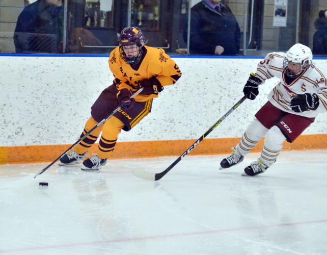 Puppe's OT winner wins Section 1AA title, sends Northfield girls hockey ...