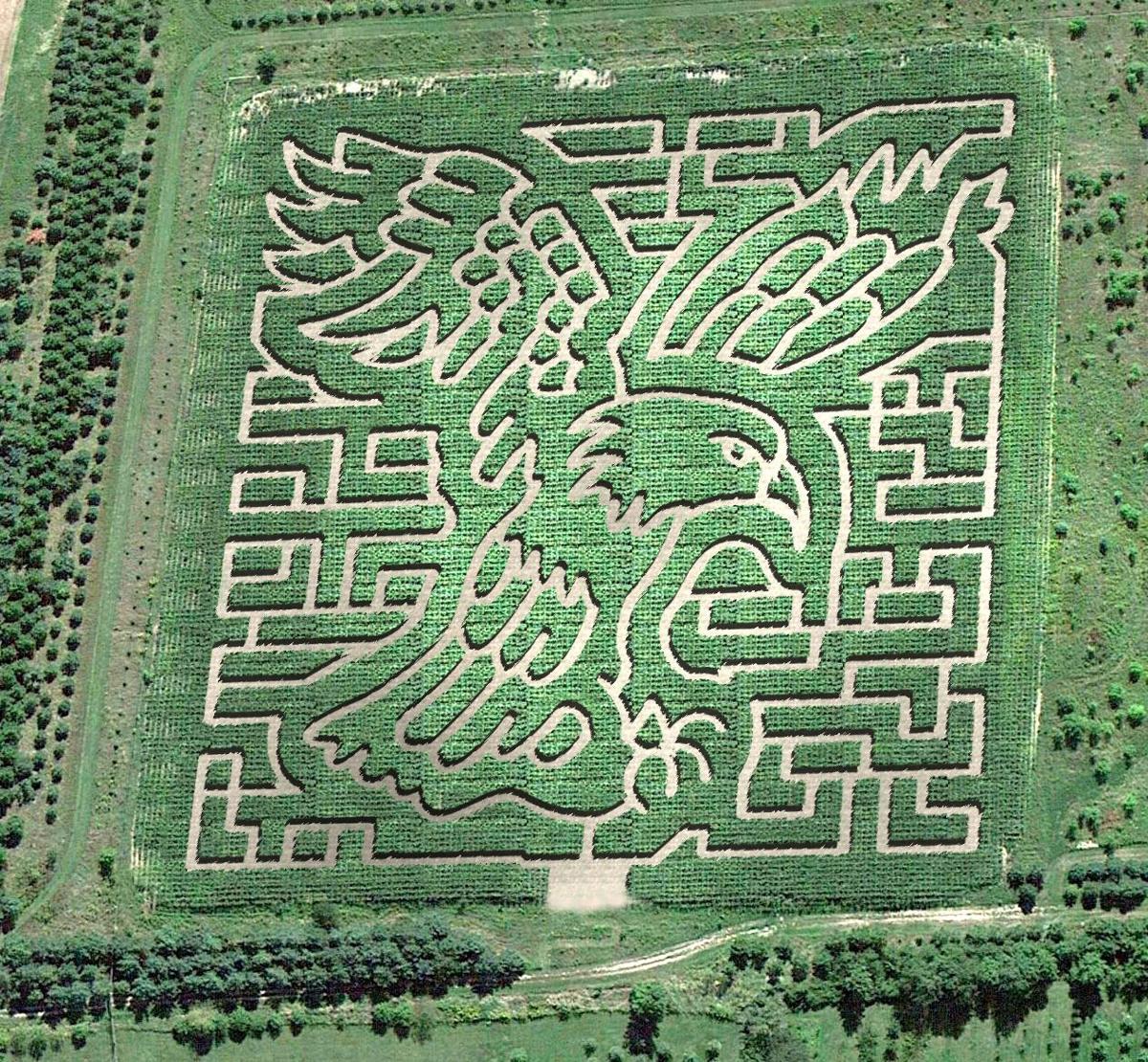 Montgomery Orchard unveils design for this year's corn maze | News ...