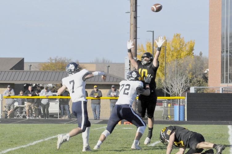 St. Peter can't keep up with Tigers in Section 2AAAA semifinal game ...