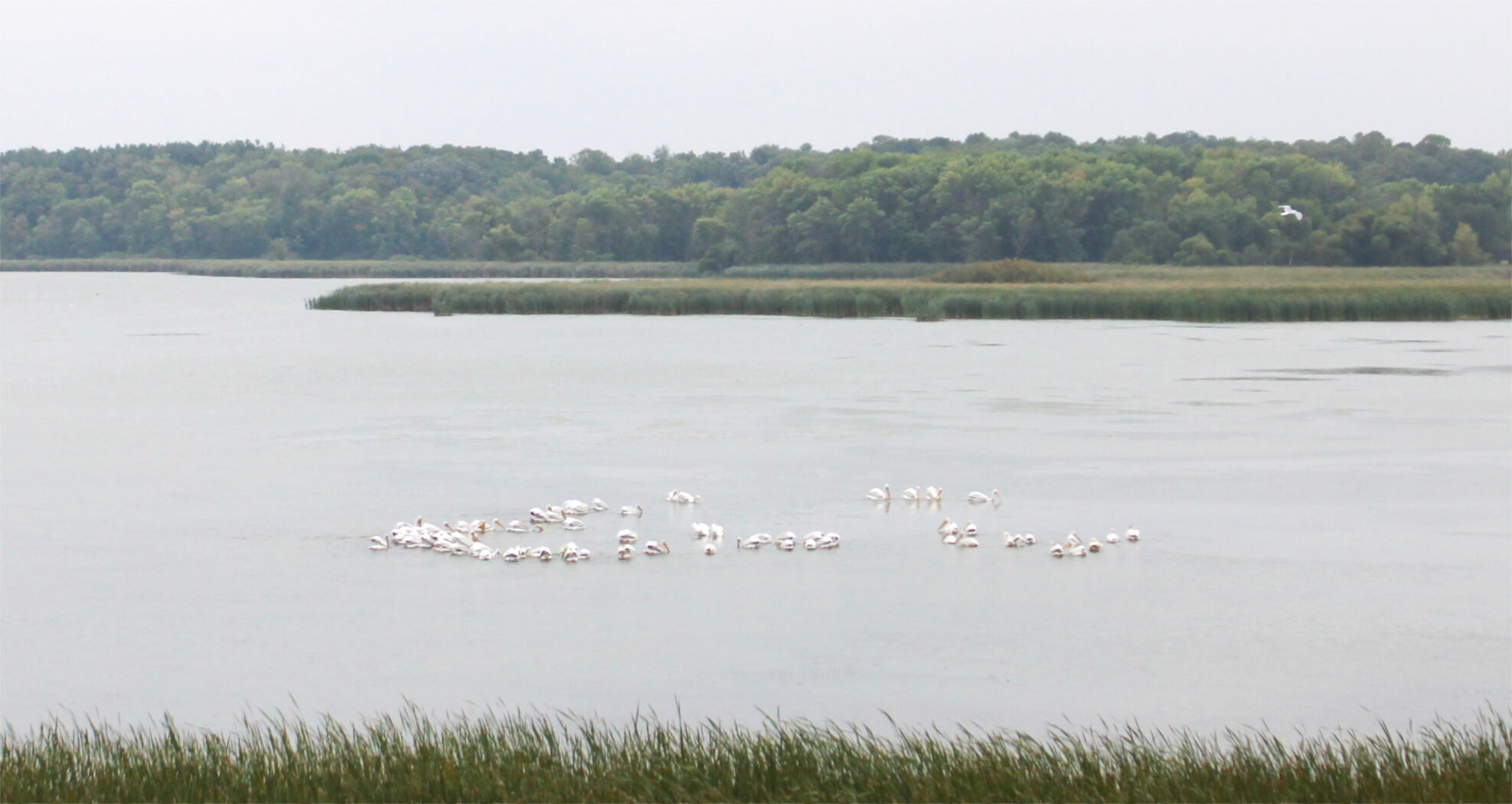 Circle Lake Improvement District Board possibly expanding board size ...