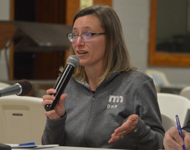 Commissioners promise work on Swan Lake, water management | News ...