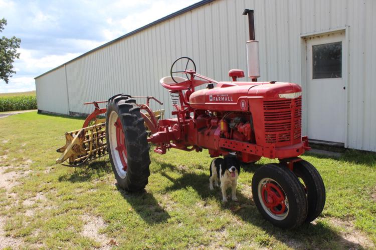 CENTURY FARM: Tonns say pandemic gave them time to apply for Century ...