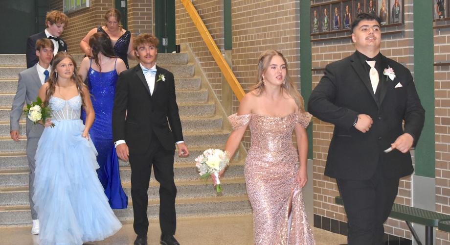 PHOTOS: Faribault High School prom grand march | News | southernminn.com
